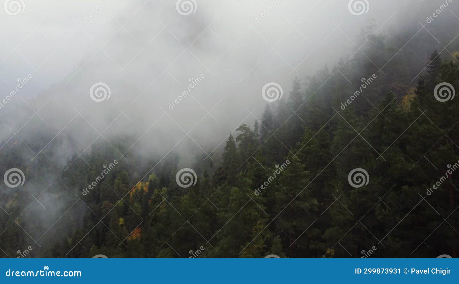 Flying Over the Forest in the Mountains with Floating Fog Stock Image ...