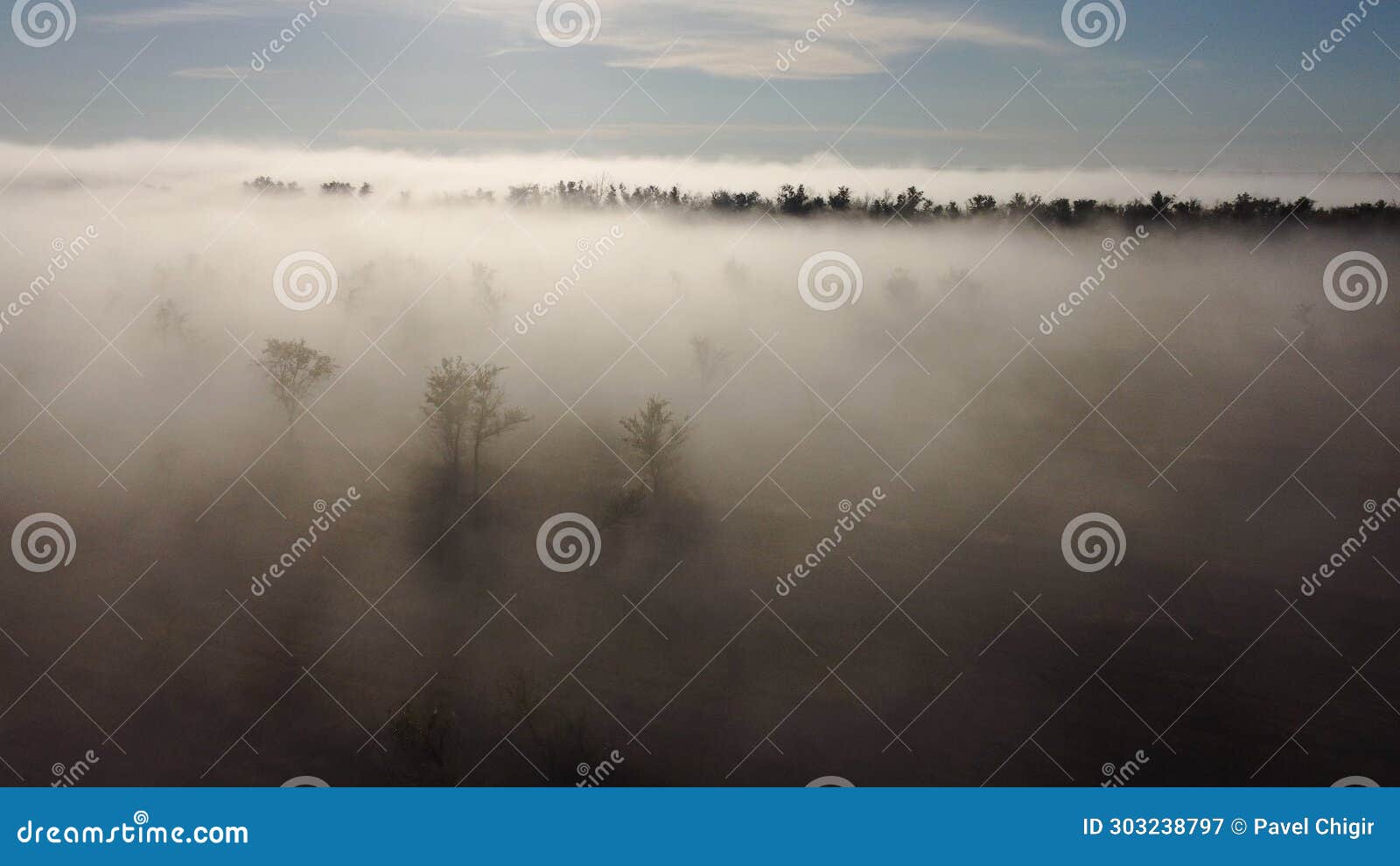 Flying Over the Trees in the Fog at Dawn Stock Image - Image of dusk ...