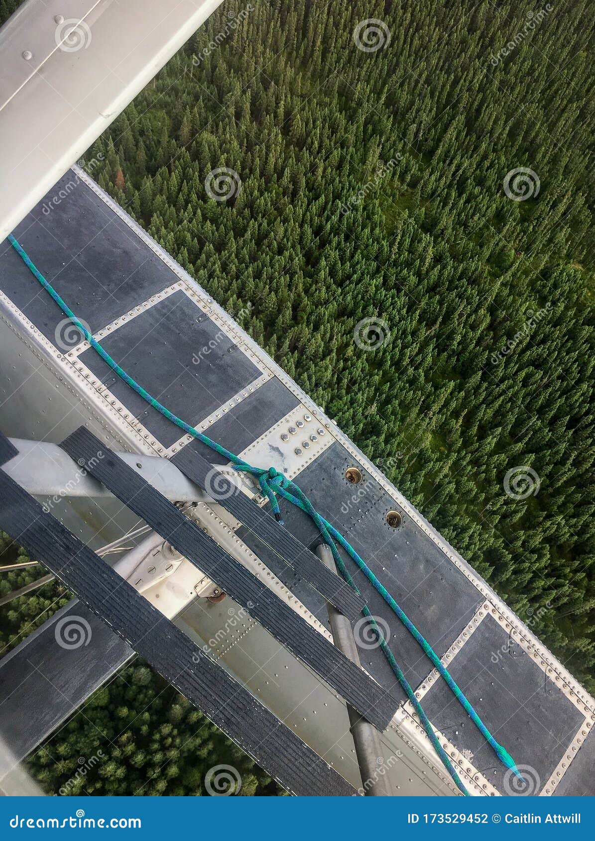 Flying Over the Trees in a Puddle Jumper Stock Photo - Image of forest ...