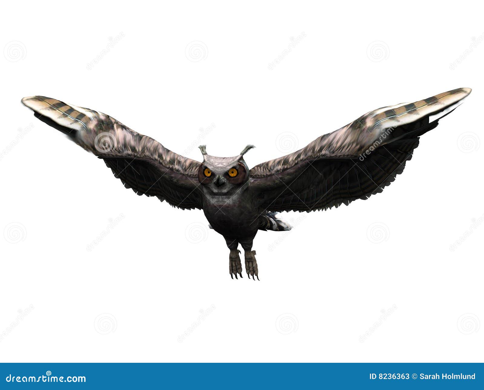 Flying owl stock illustration. Illustration of ornithology - 8236363