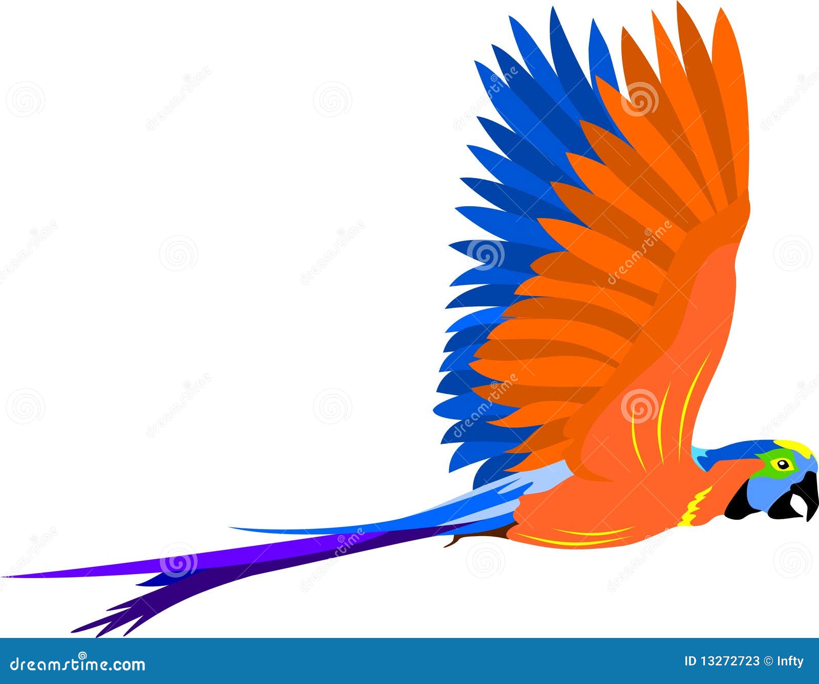 Flying parrot stock vector. Illustration of africa, colors - 13272723