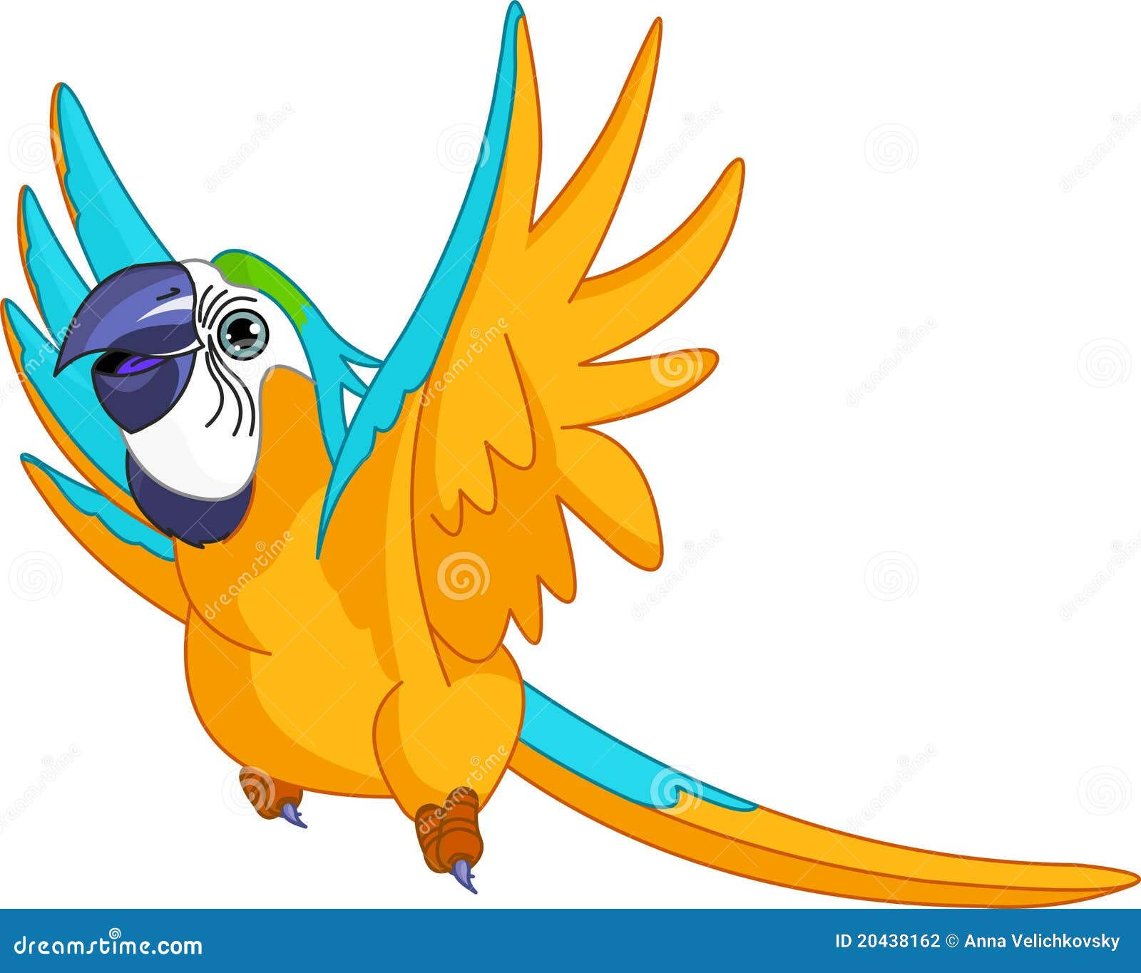 Flying Parrot Clip Art