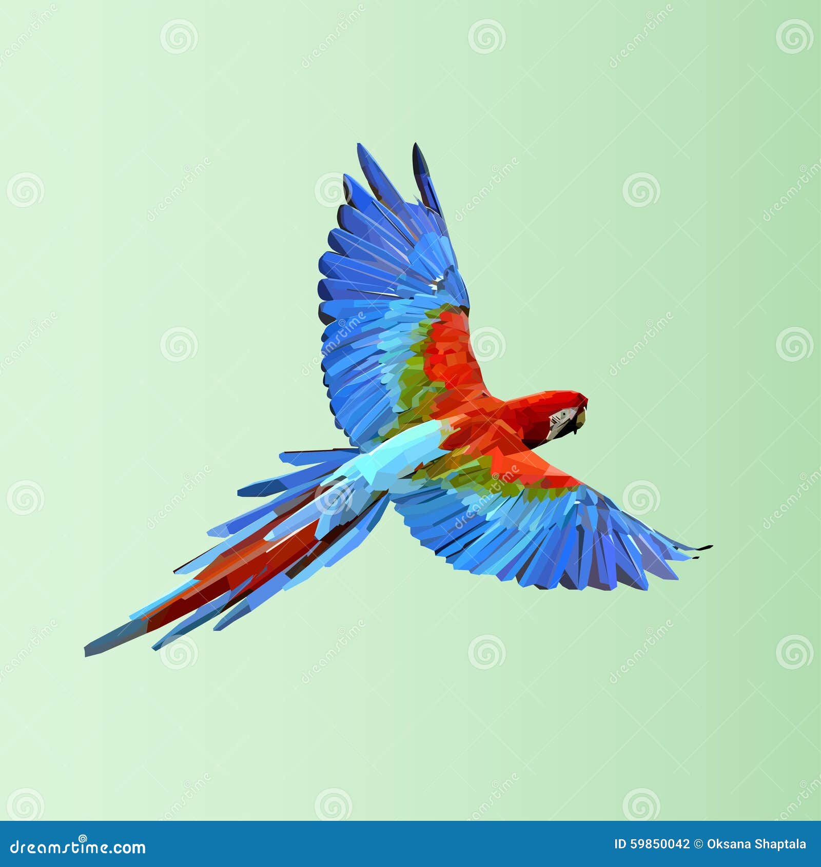 Flying Parrot. Colorful Vector Illustration Stock Vector - Illustration ...