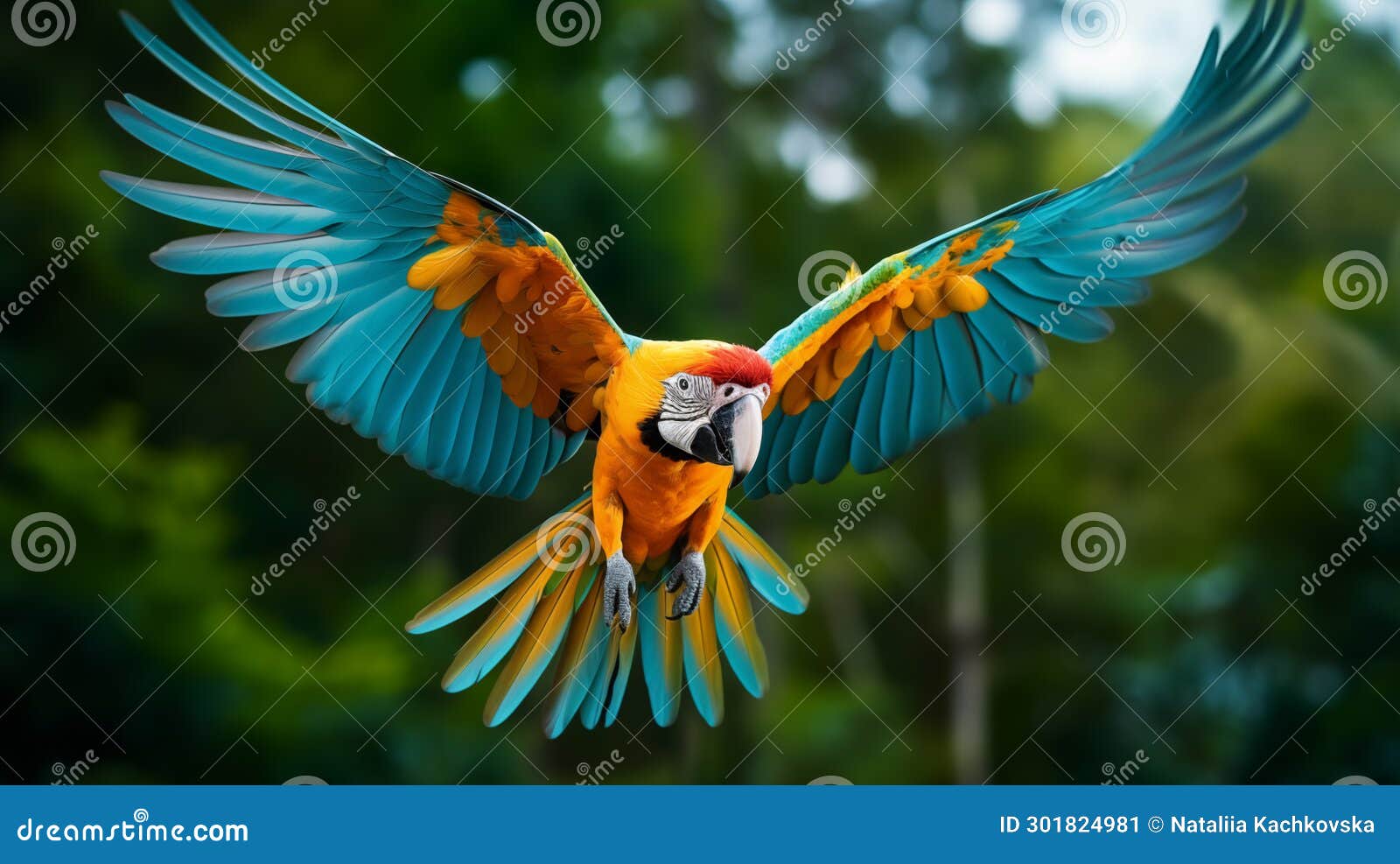 Flying parrot over jungle stock illustration. Illustration of feather ...