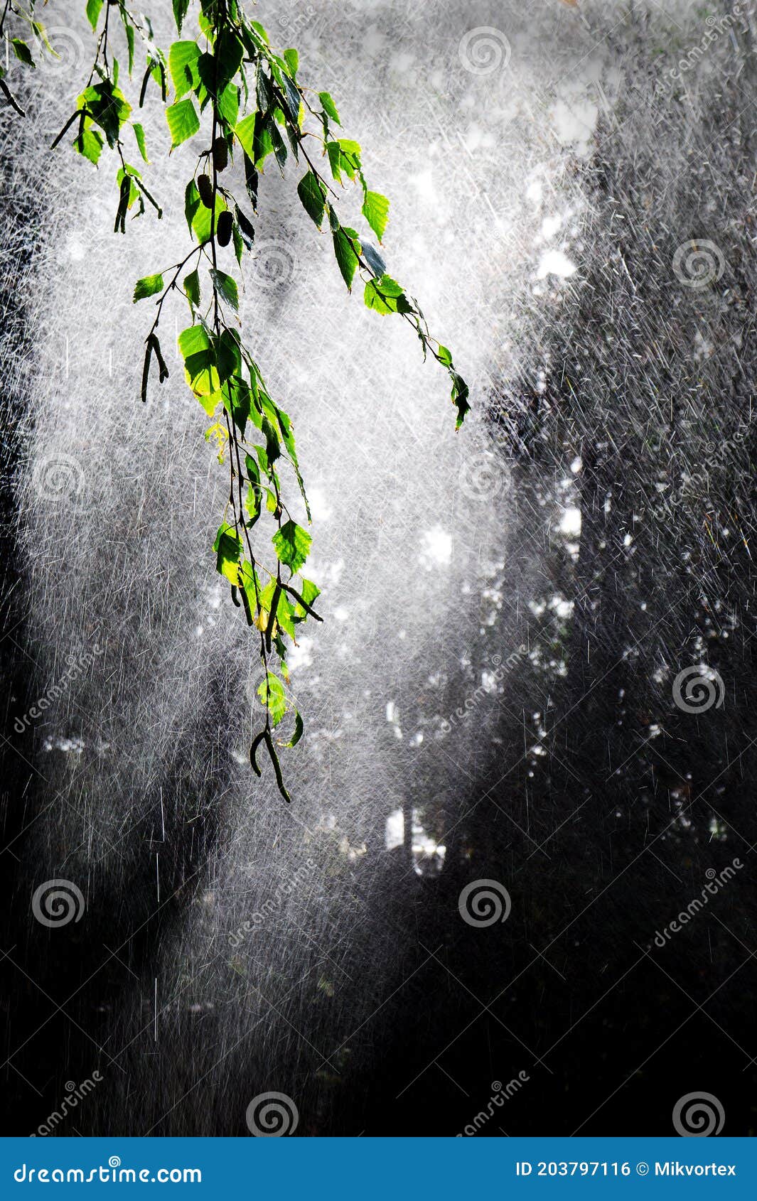 Flying Phantom Spirit, Magic Aura Stock Photo - Image of ambiance ...