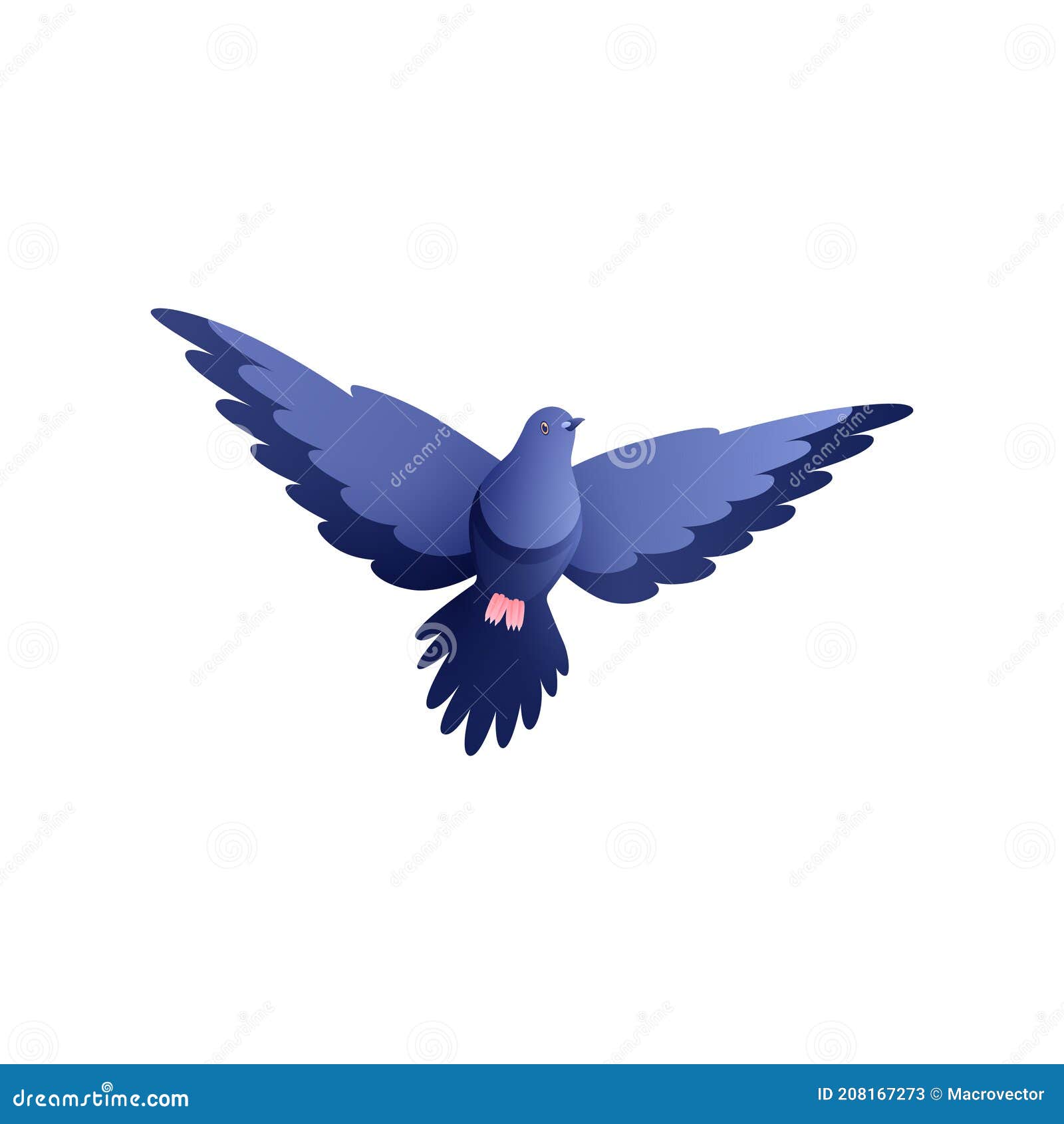 Flying Pigeon Illustration stock vector. Illustration of life - 208167273