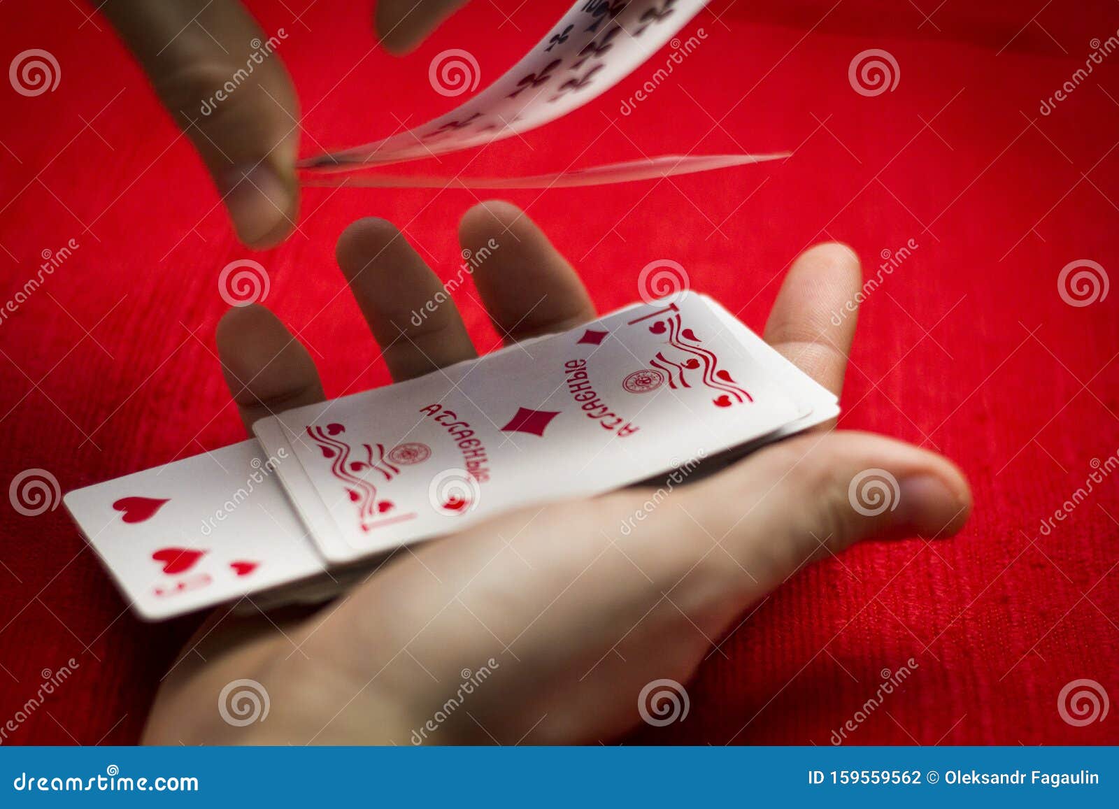 Flying playing cards stock photo. Image of card, gambling - 159559562