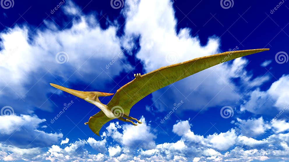 Flying pterodactyl stock photo. Image of prey, lizard - 50281898