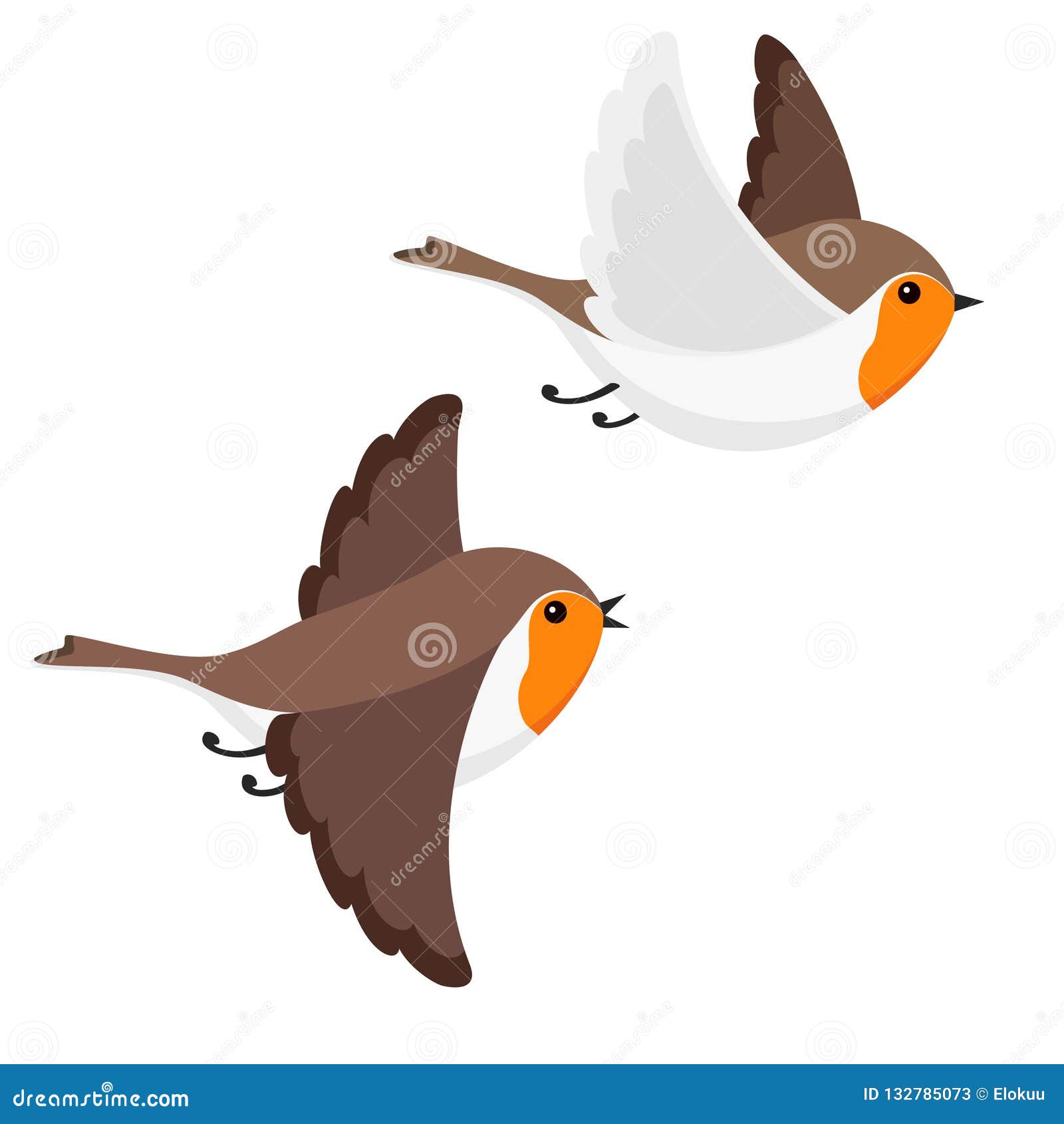 Flying Robins Isolated on White Background Stock Vector - Illustration ...