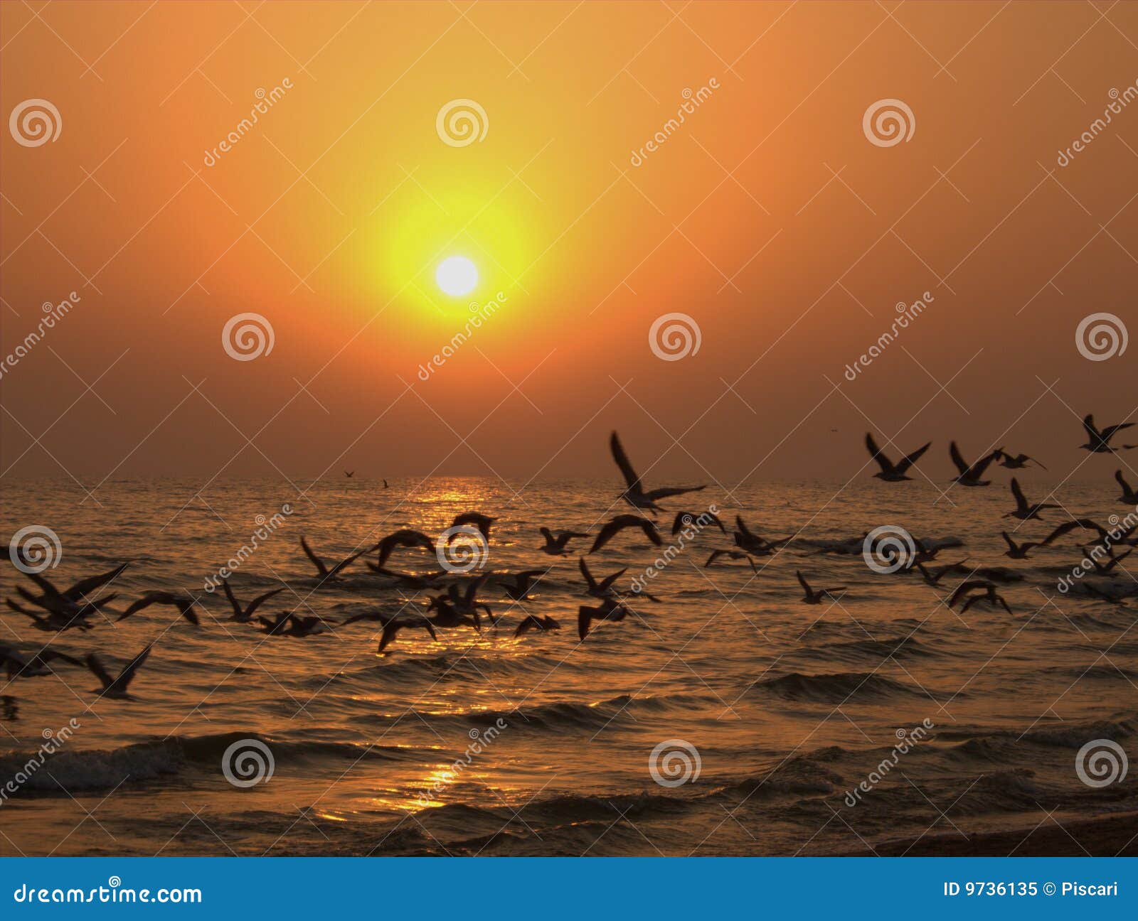 Beautiful ocean sunset stock image. Image of ocean, view - 9736135