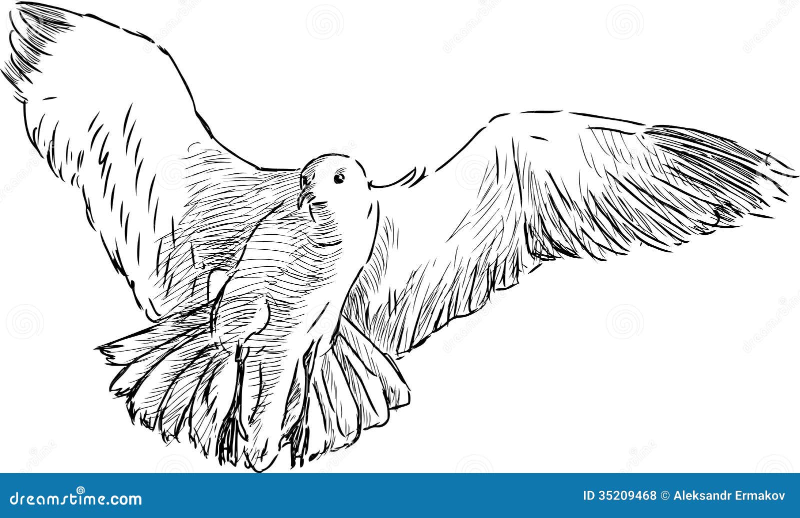 Flying Gull With Wings Up Flat Vector Illustration. Marine Seagull ...