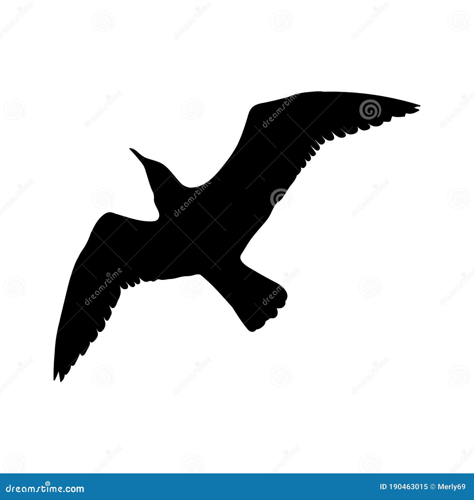 Seagull, Sea Bird Profile. Seabird Standing, Side View. Coastal Gull ...