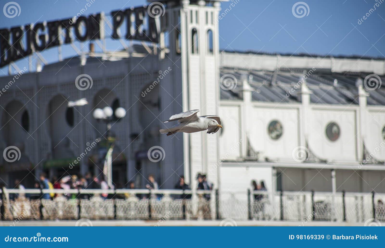 Flying Seagull and the Brighton Pier. Stock Image - Image of full ...