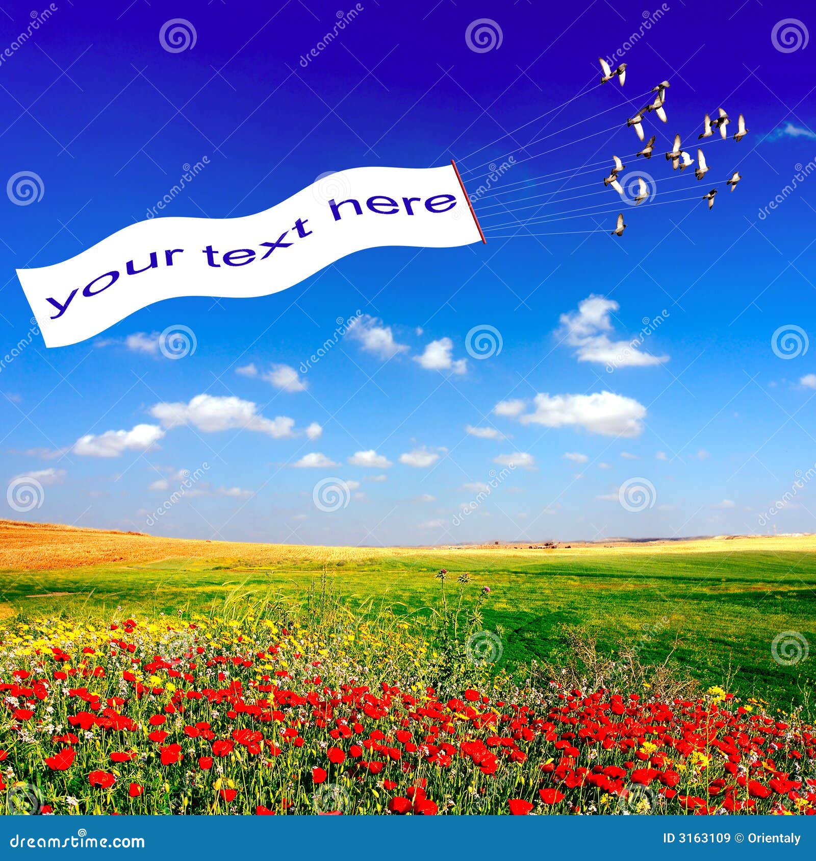 Flying sign stock image. Image of backgroundbillboard - 3163109