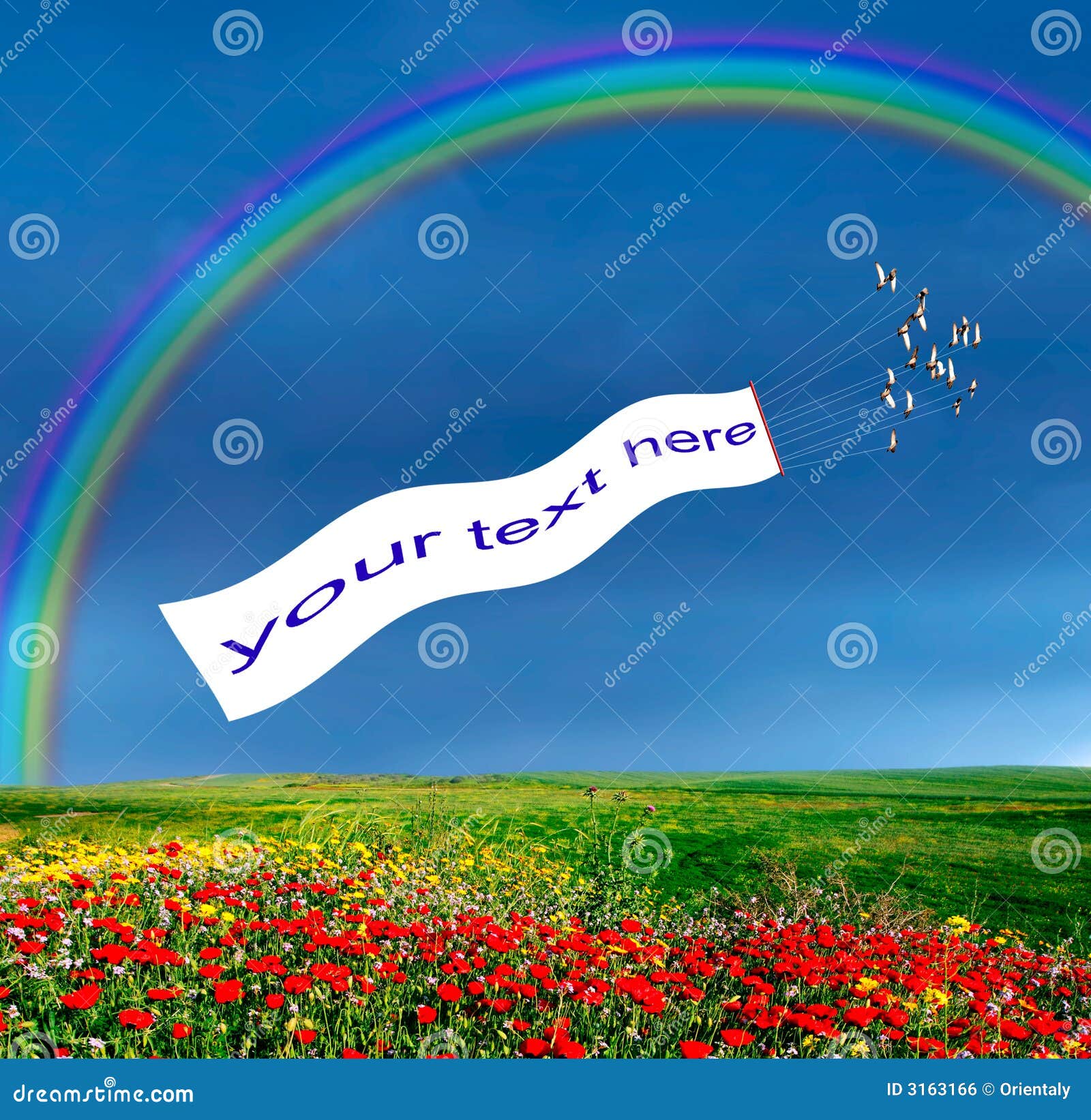 Flying sign stock photo. Image of marketing, advertisement - 3163166