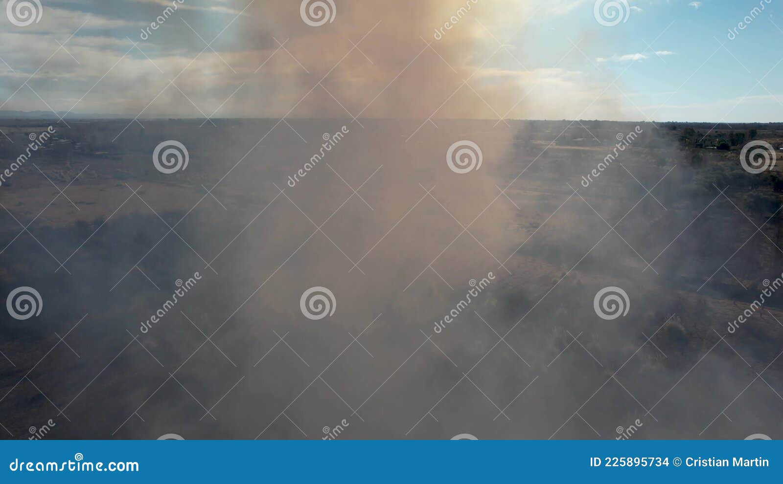 Flying through Smoke Cloud in Forest Fire Stock Footage - Video of ...