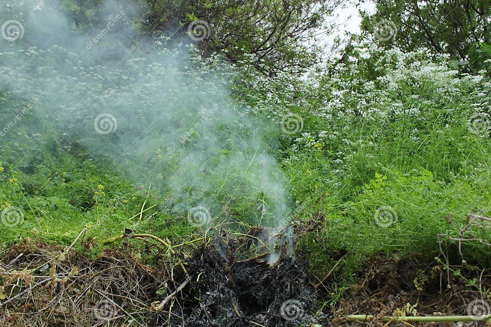 Flying smoke stock photo. Image of hobby, result, burn - 92206068