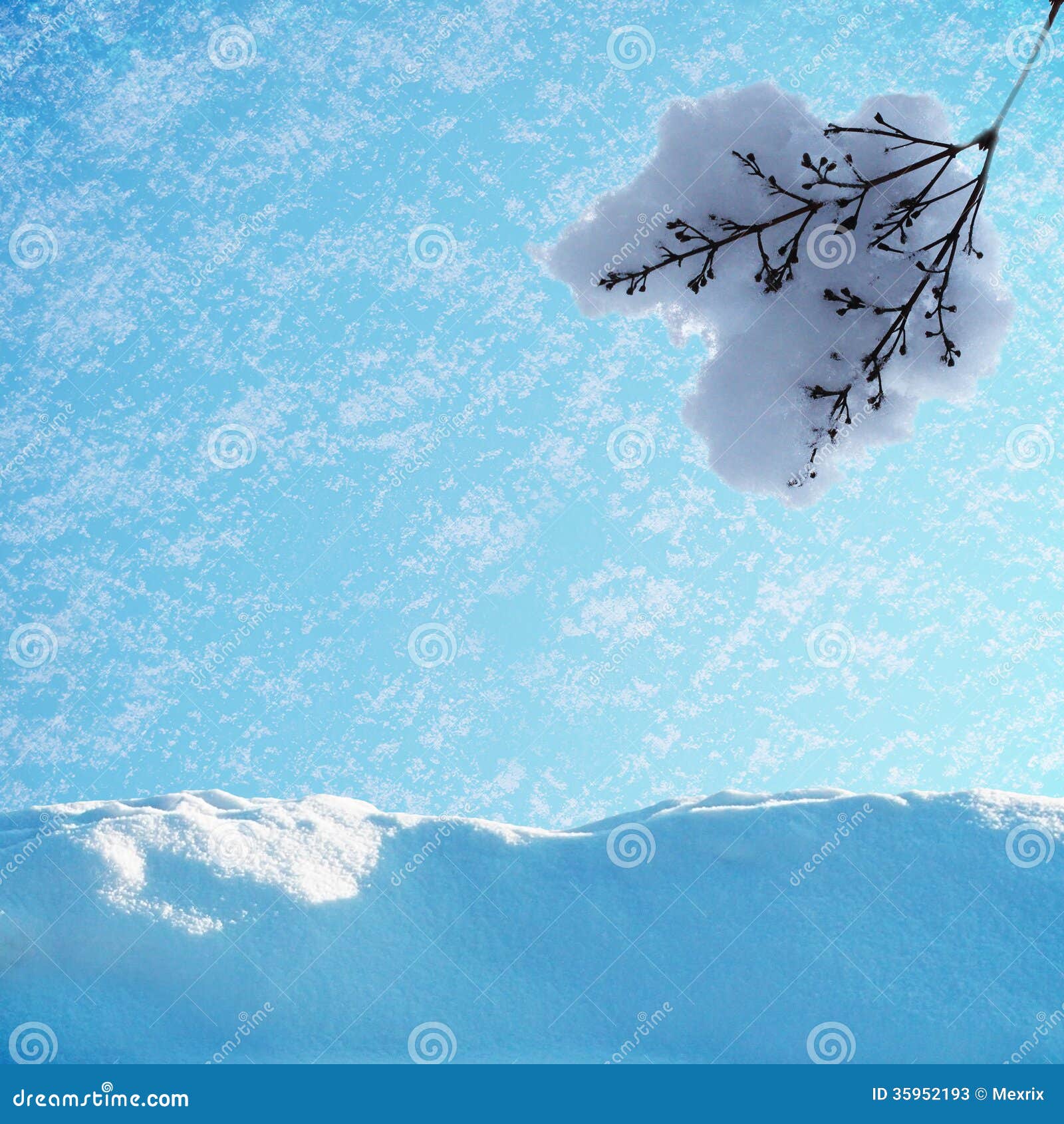 Flying snow stock image. Image of snow, season, scenic - 35952193