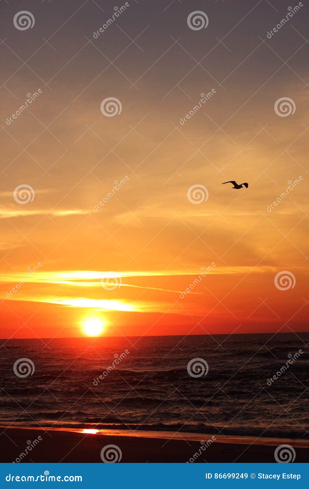 Flying Solo stock image. Image of solo, orange, flying - 86699249