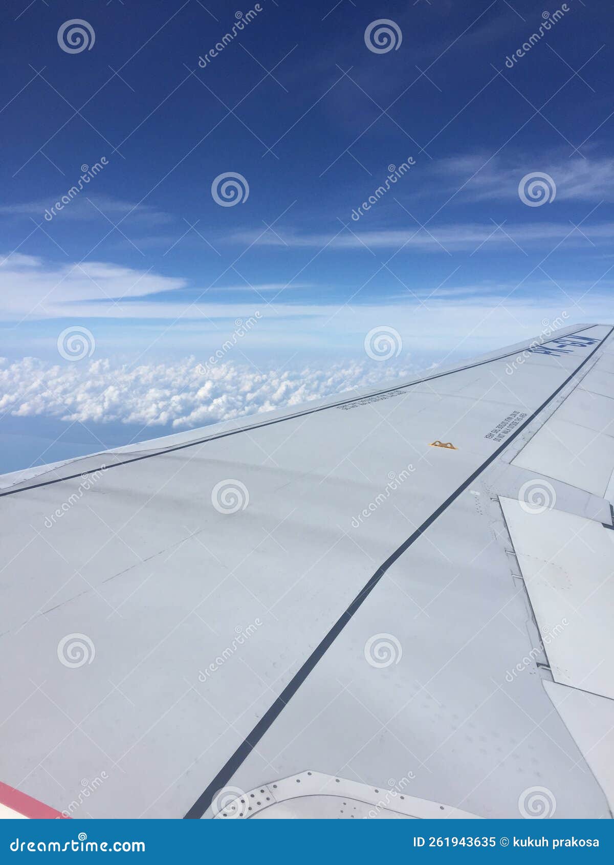 Flying solo with my self editorial image. Image of flight - 261943635