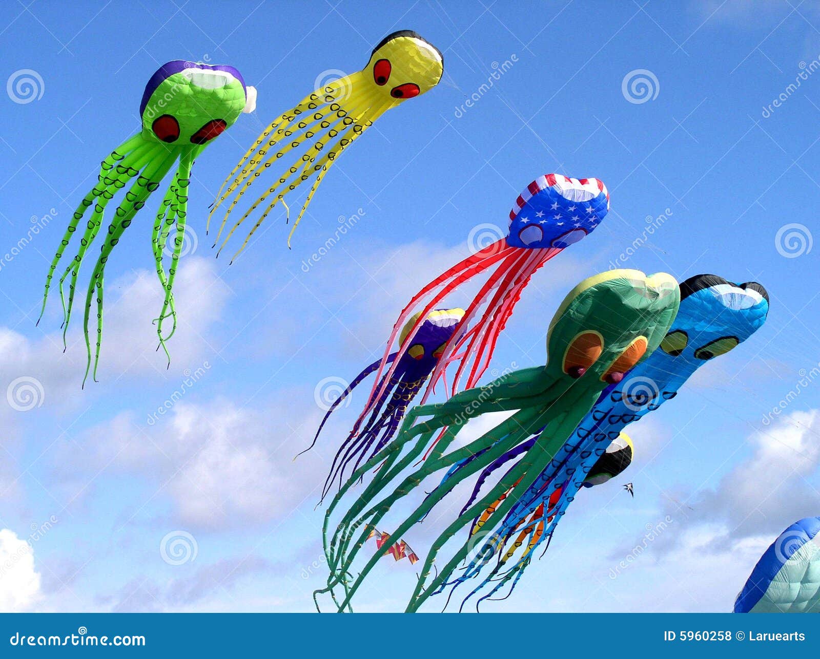 Flying Squid stock photo. Image of high, squid, flying - 5960258