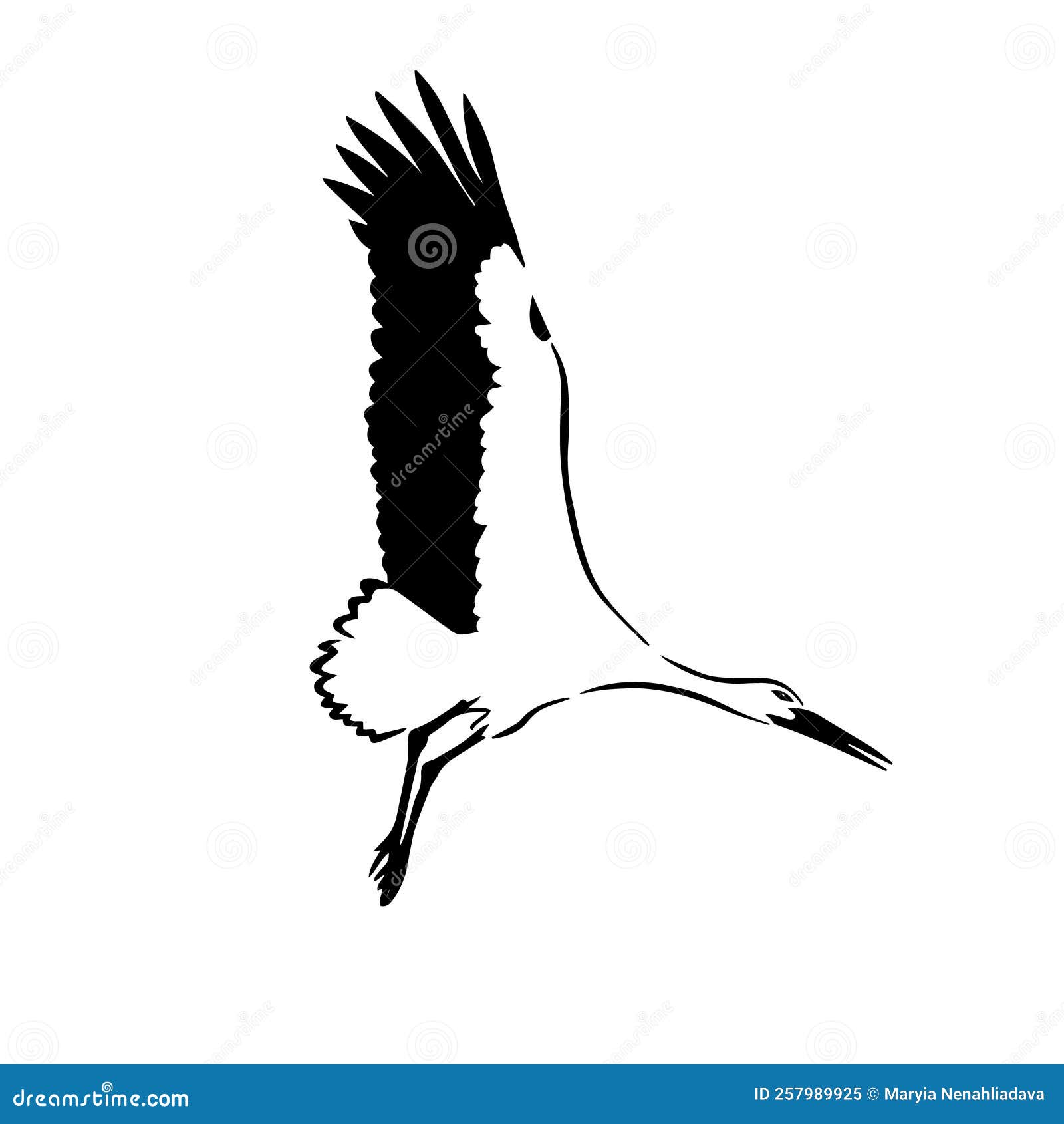 Flying Stork Object. Vector Illustration Stock Vector - Illustration of ...