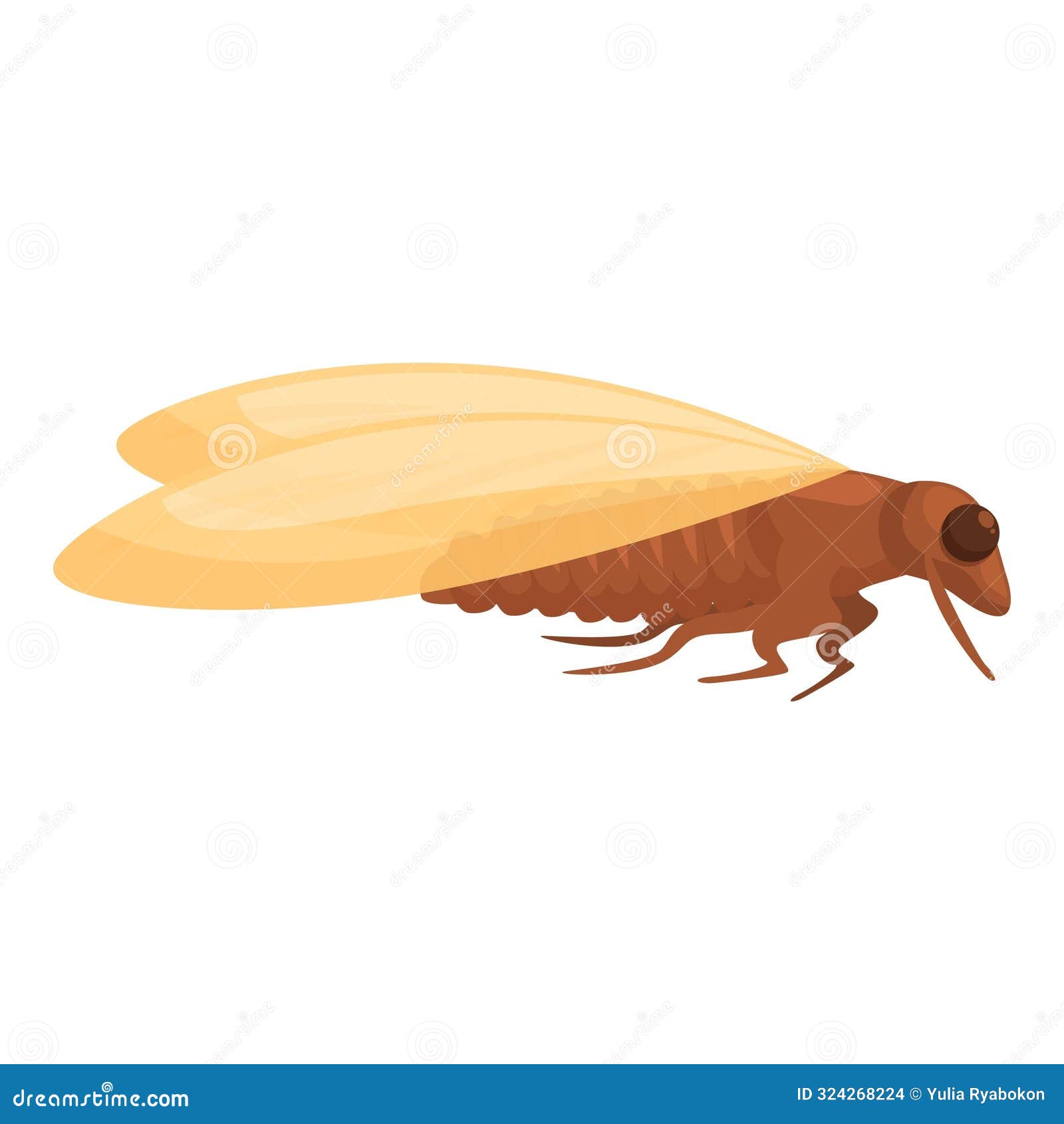 Flying Termite Insect Crawling with Big Wings Stock Vector ...