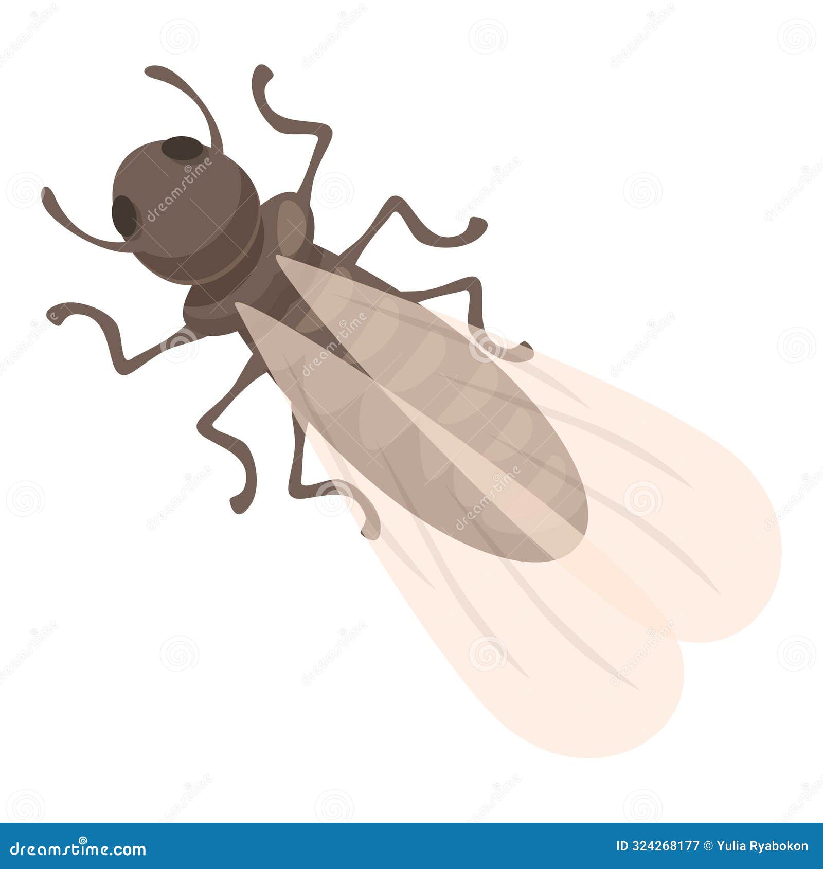 Flying Termite Spreading Its Wings on White Background Stock Vector ...