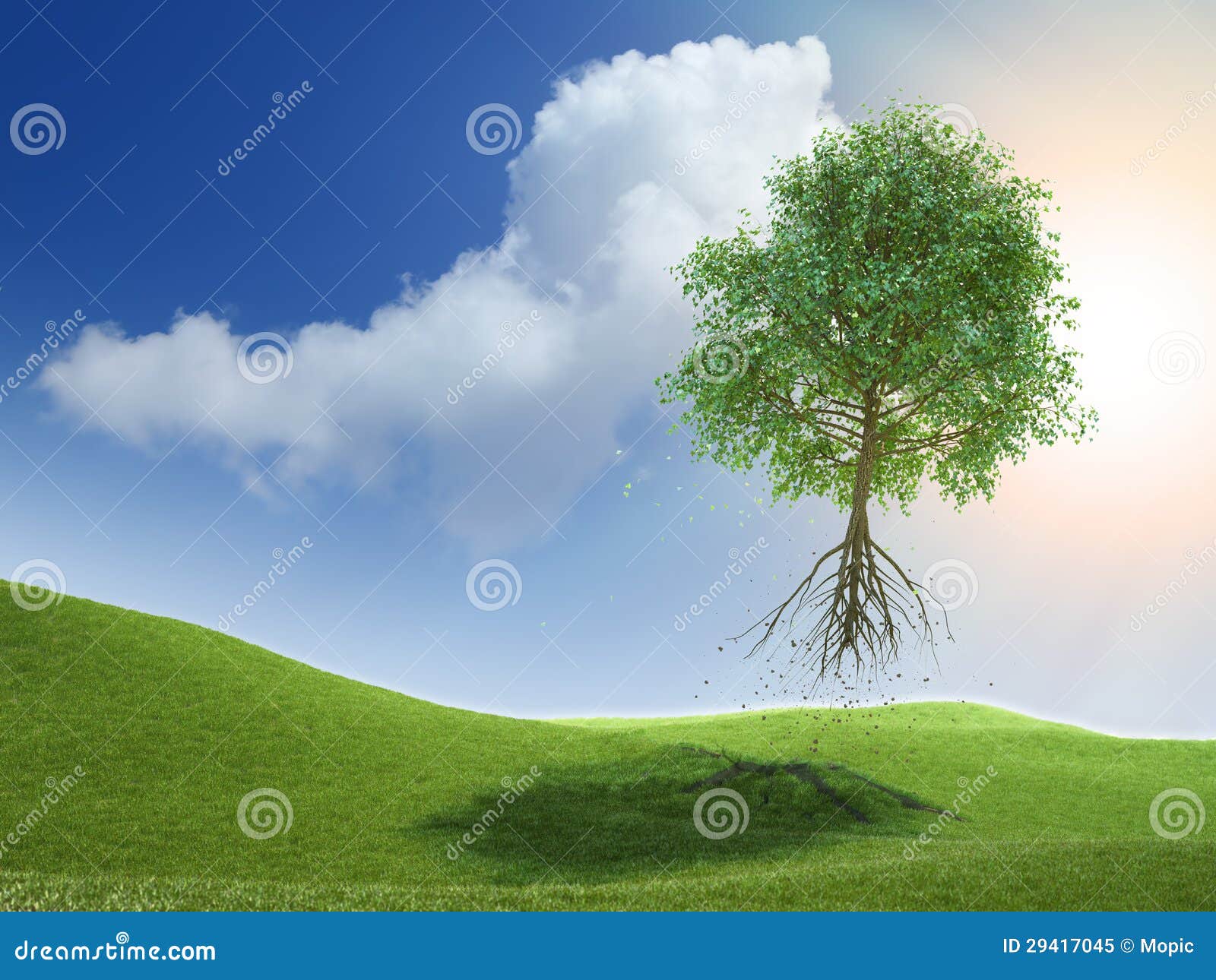 Flying Tree Royalty Free Stock Photo - Image: 29417045