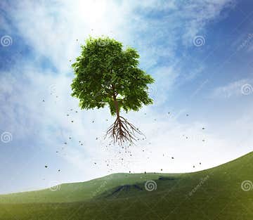 Flying tree stock image. Image of background, grass, landscape - 42432773
