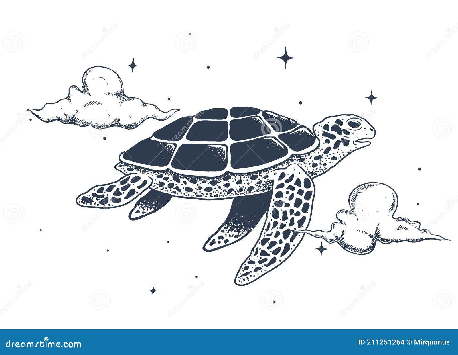 Flying turtle in the sky stock vector. Illustration of shell - 211251264