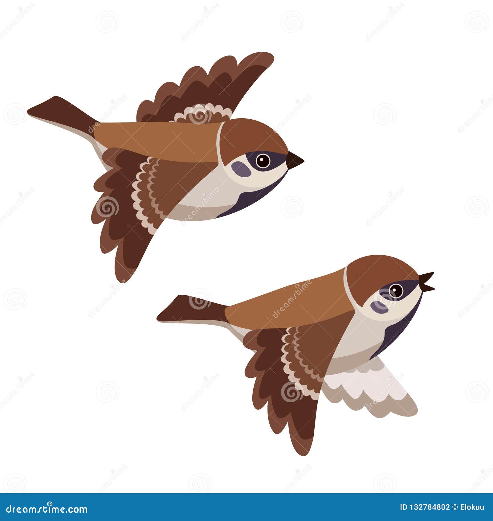 Set Of Sparrows Isolated On A White Background. Vector Graphics Stock ...