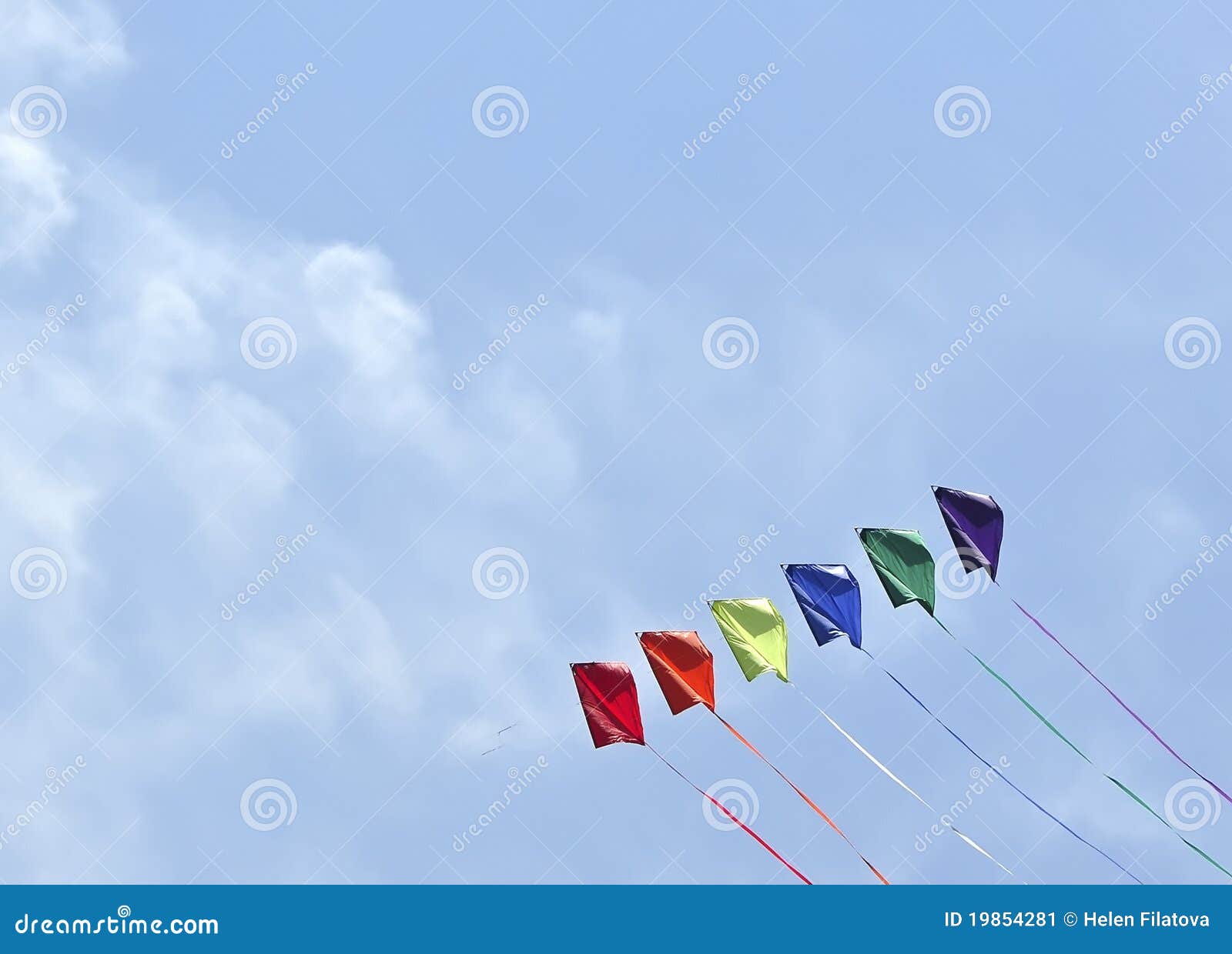 Flying Up stock image. Image of freedom, tail, flying - 19854281