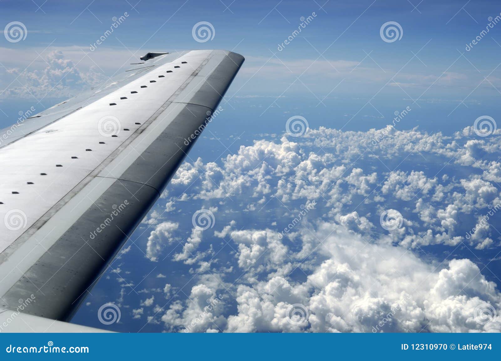 Flying up the clouds stock photo. Image of natural, ecology - 12310970