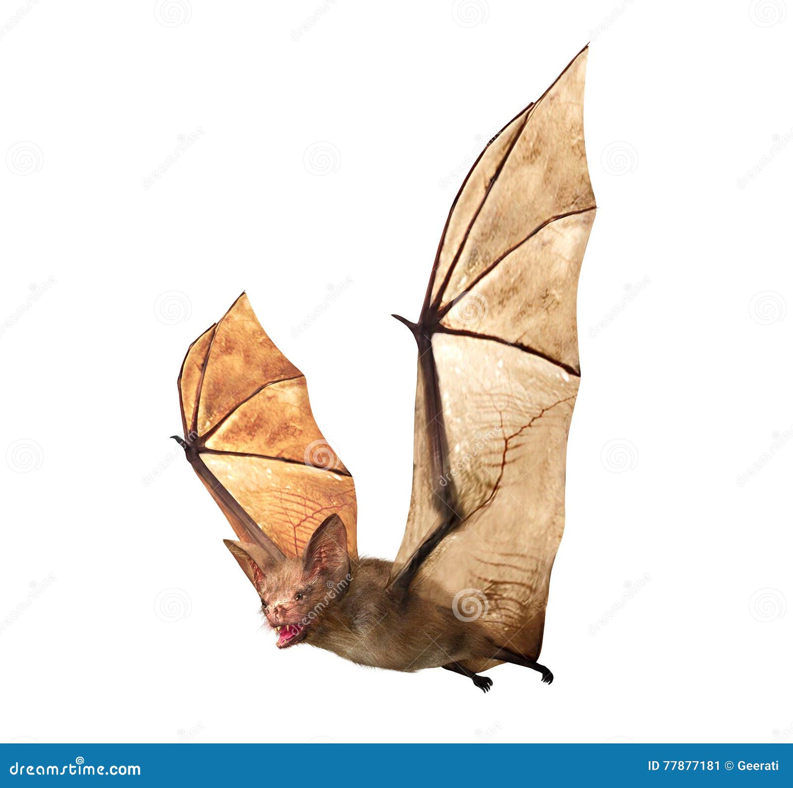 Vampire Flying Stock Illustrations – 7,842 Vampire Flying Stock ...