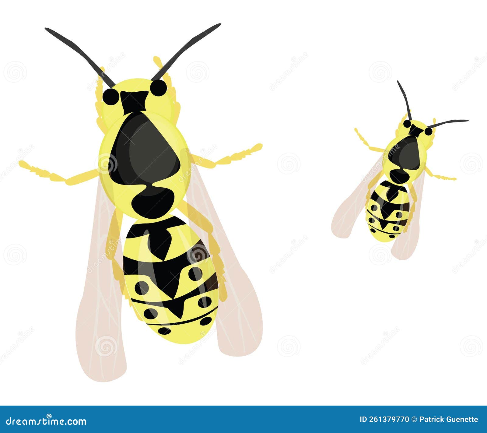 Flying Wasp Cartoon Vector | CartoonDealer.com #13578393