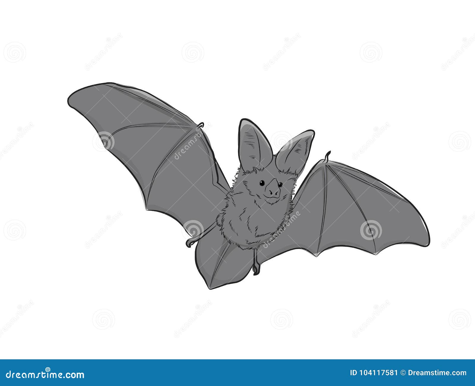 Flying Bat Vector Illustration Stock Vector - Illustration of mammal ...