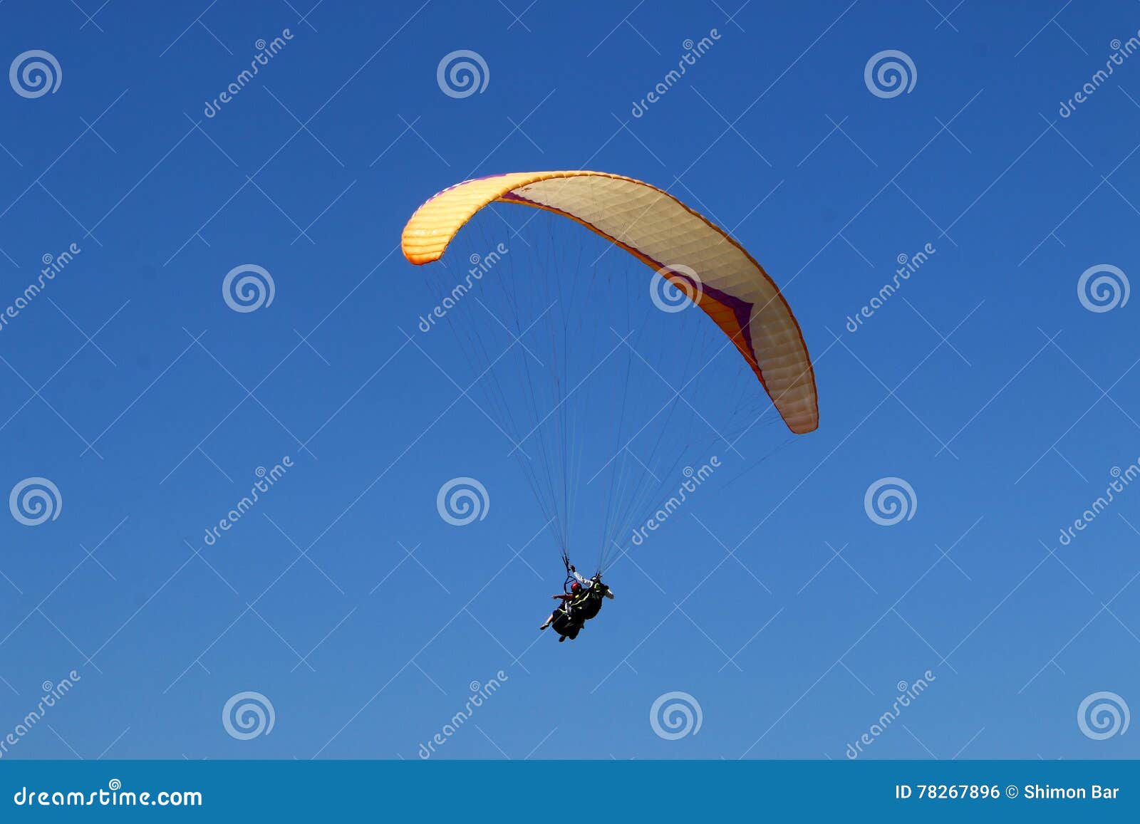 Flying on the wing editorial photo. Image of tranquility - 78267896