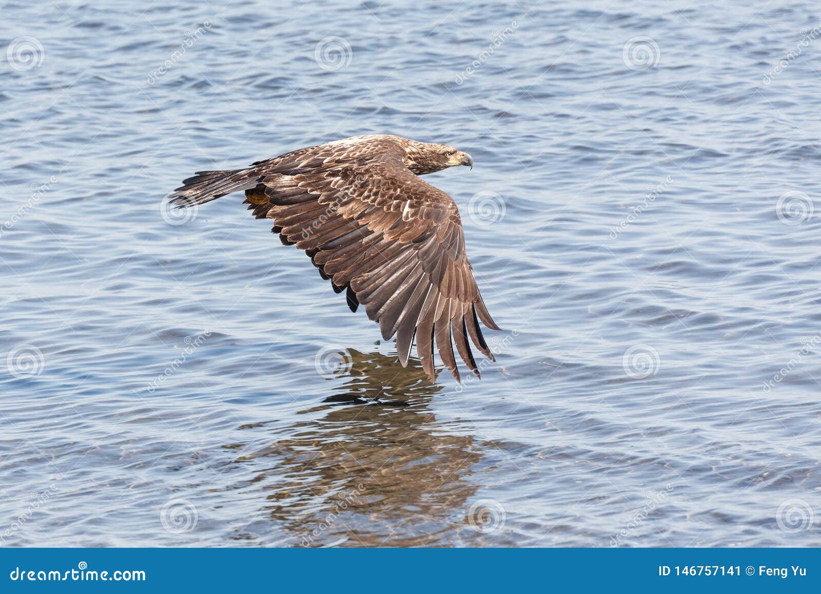 Flying Man. Young Man Falling Down On Sky Background. Royalty-Free ...