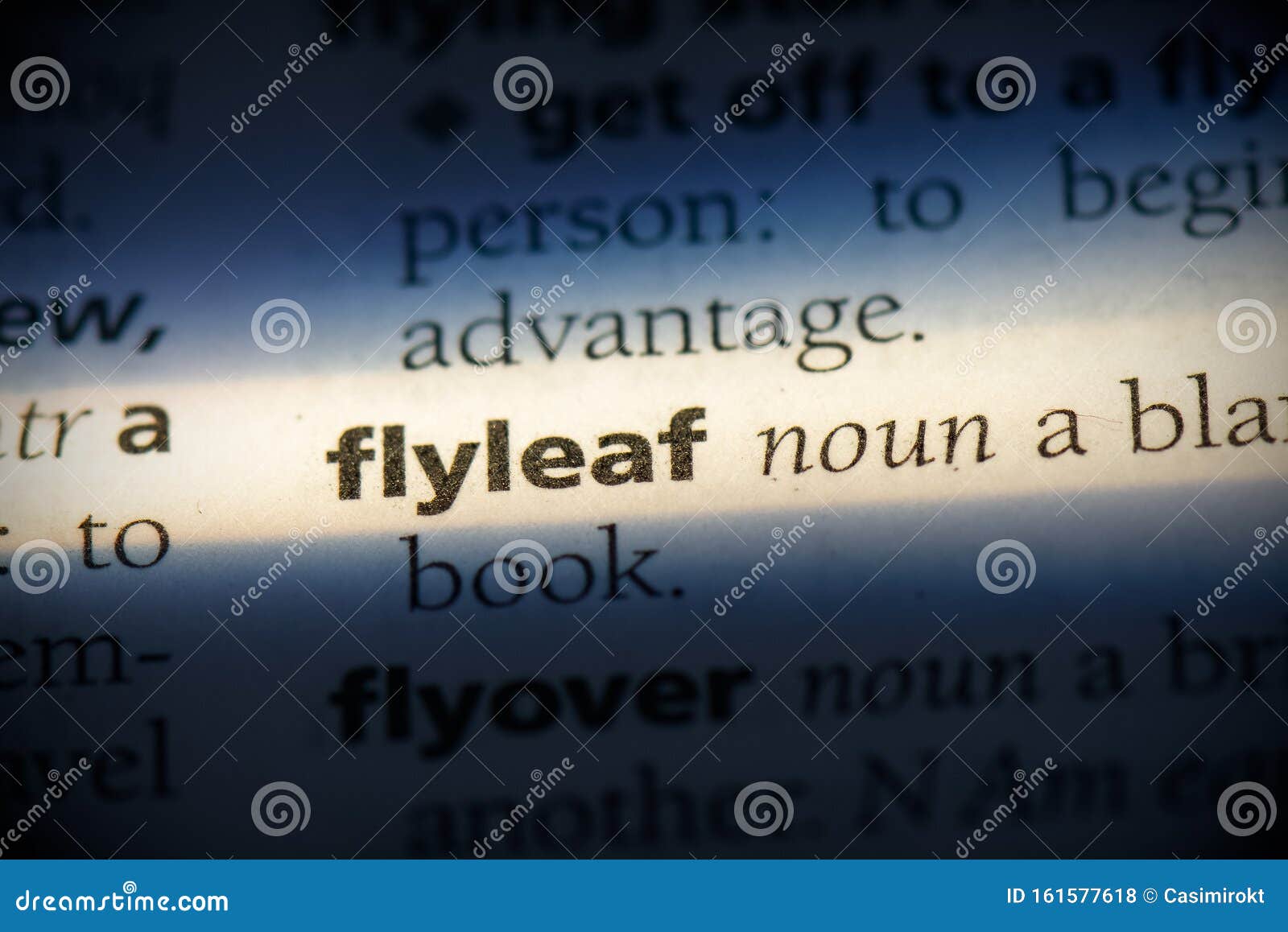 Flyleaf stock photo. Image of thesaurus, reference, dictionary - 161577618