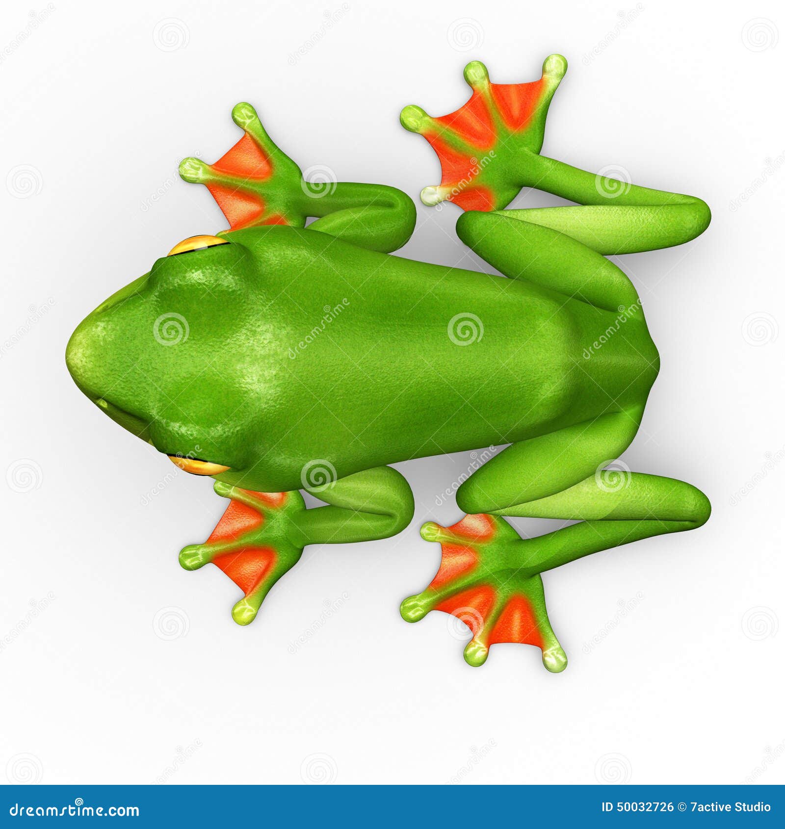 Flyng frog stock illustration. Illustration of horizontal - 50032726