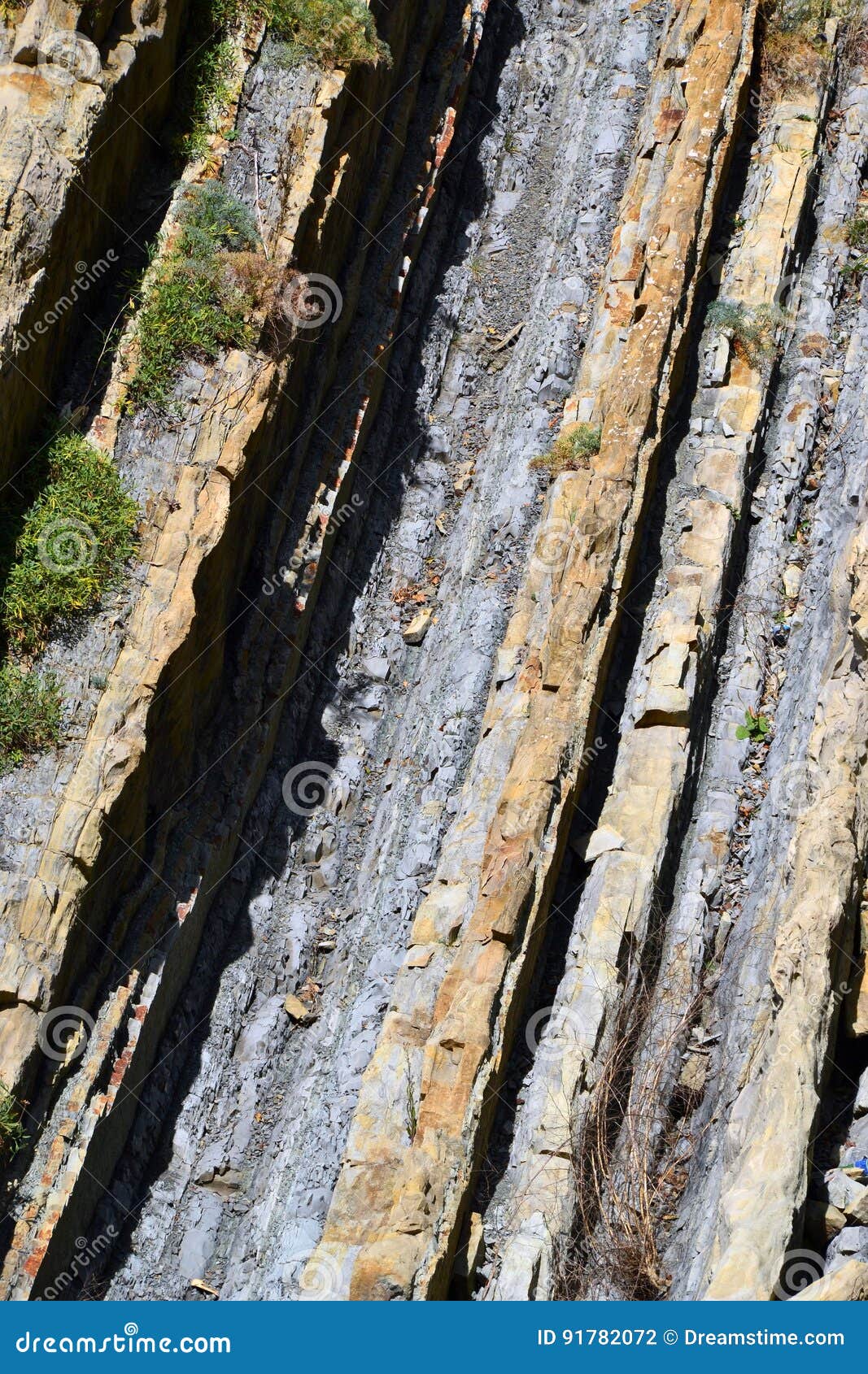 Flysch Rock on the Seashore in the Water Stock Photo - Image of nature ...