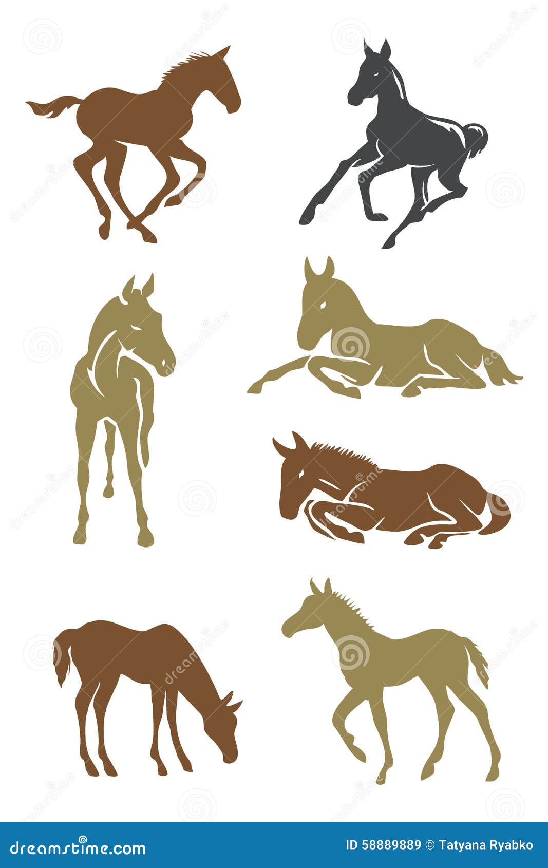 Foals vector design stock vector. Illustration of horse - 58889889