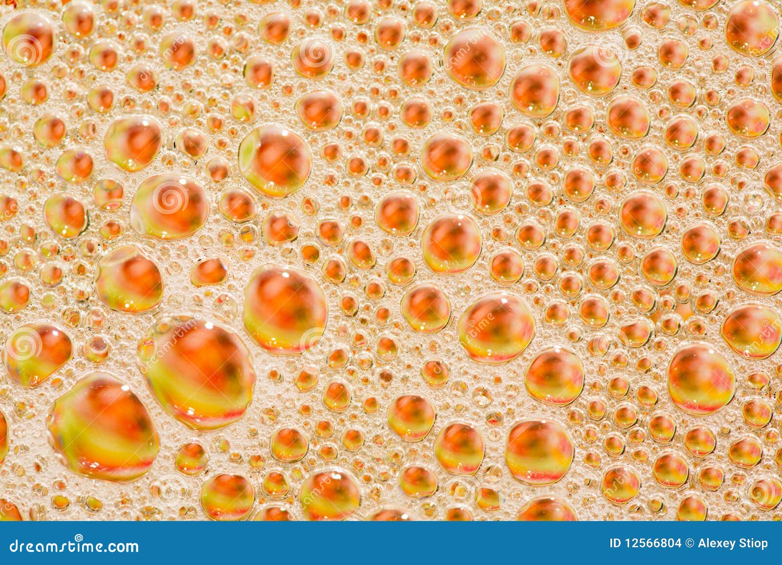 Foam stock photo. Image of design, form, circle, creative - 12566804