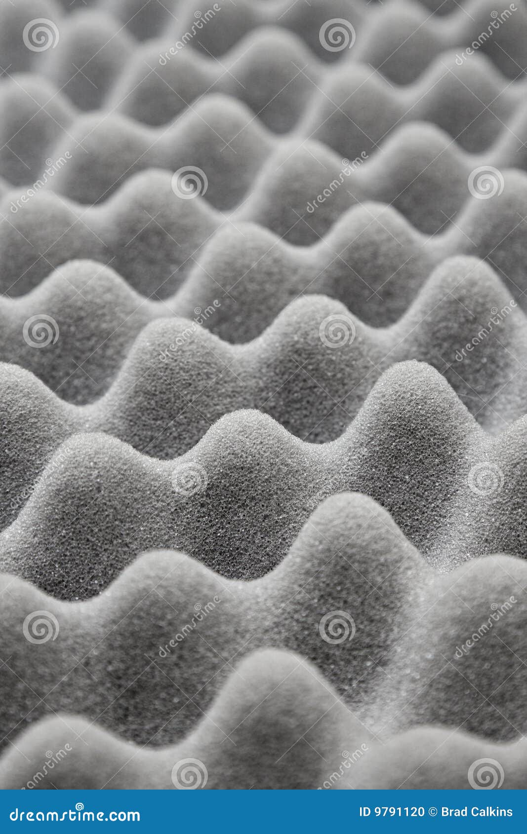 Foam stock photo. Image of bumps, pack, cushion, packing - 9791120