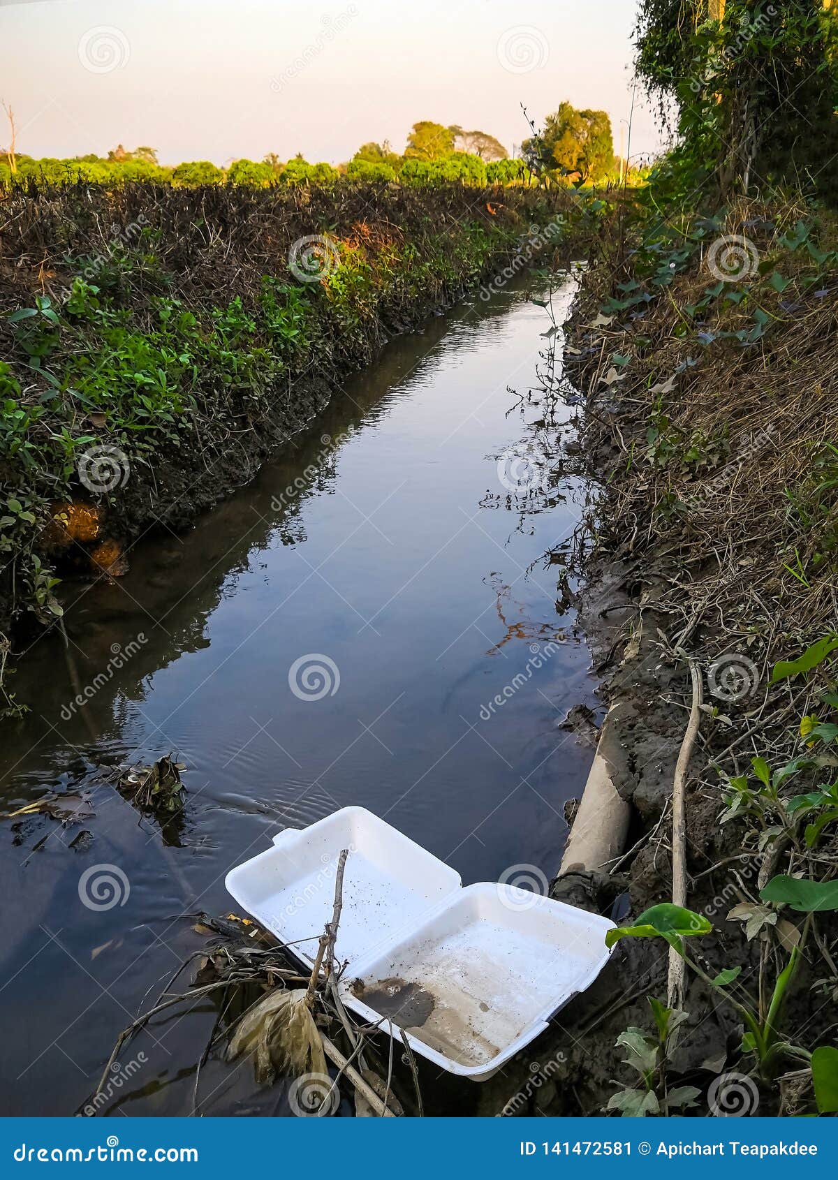 Foam box in the river stock image. Image of trash, white - 141472581