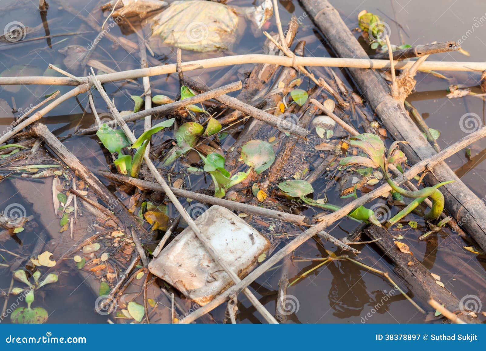 Foam Floating In River Water Royalty-Free Stock Photo | CartoonDealer ...