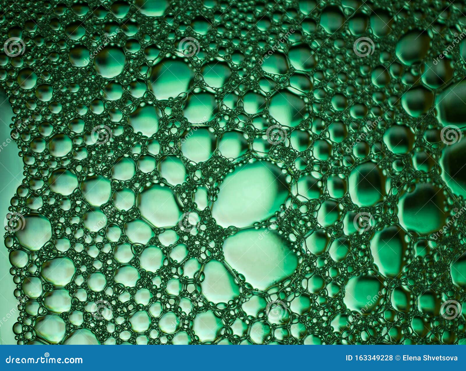 Foam Green Bubble Texture. Abstract Background and Texture of Green ...