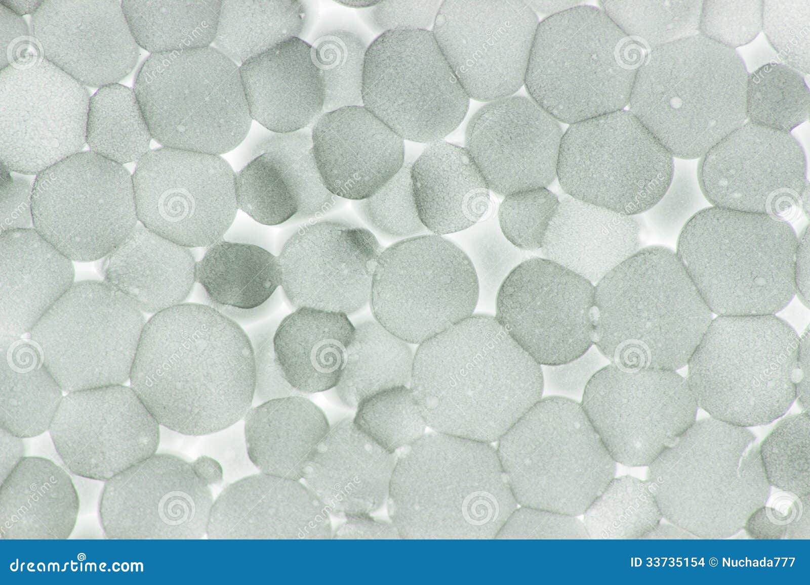 Foam stock photo. Image of package, lite, texture, abstract - 33735154