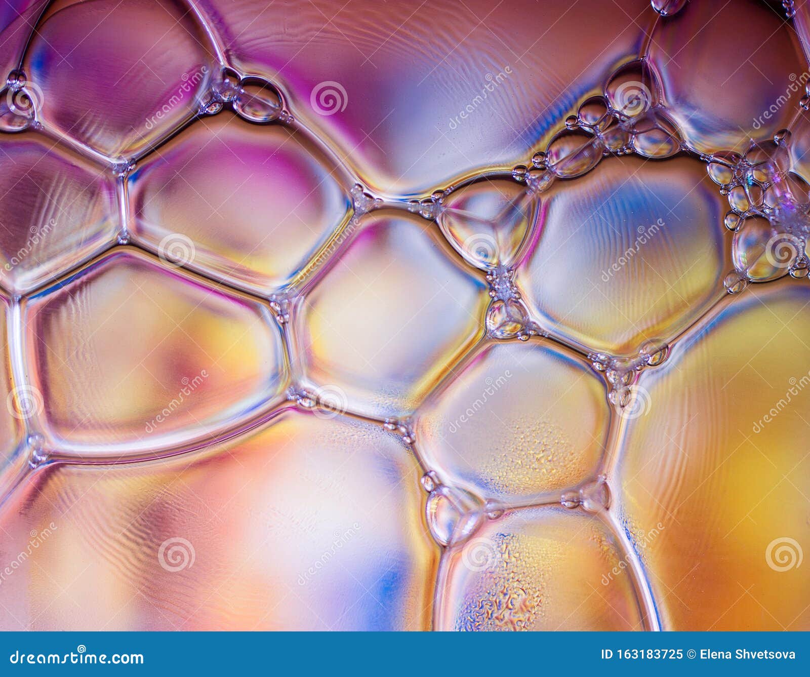 Foam Multicolored Bubble Texture. Abstract Background and Texture of ...